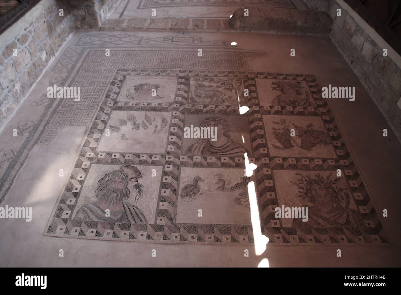 Mosaics in the Villa of Dionysus, in the House of Theseus ...