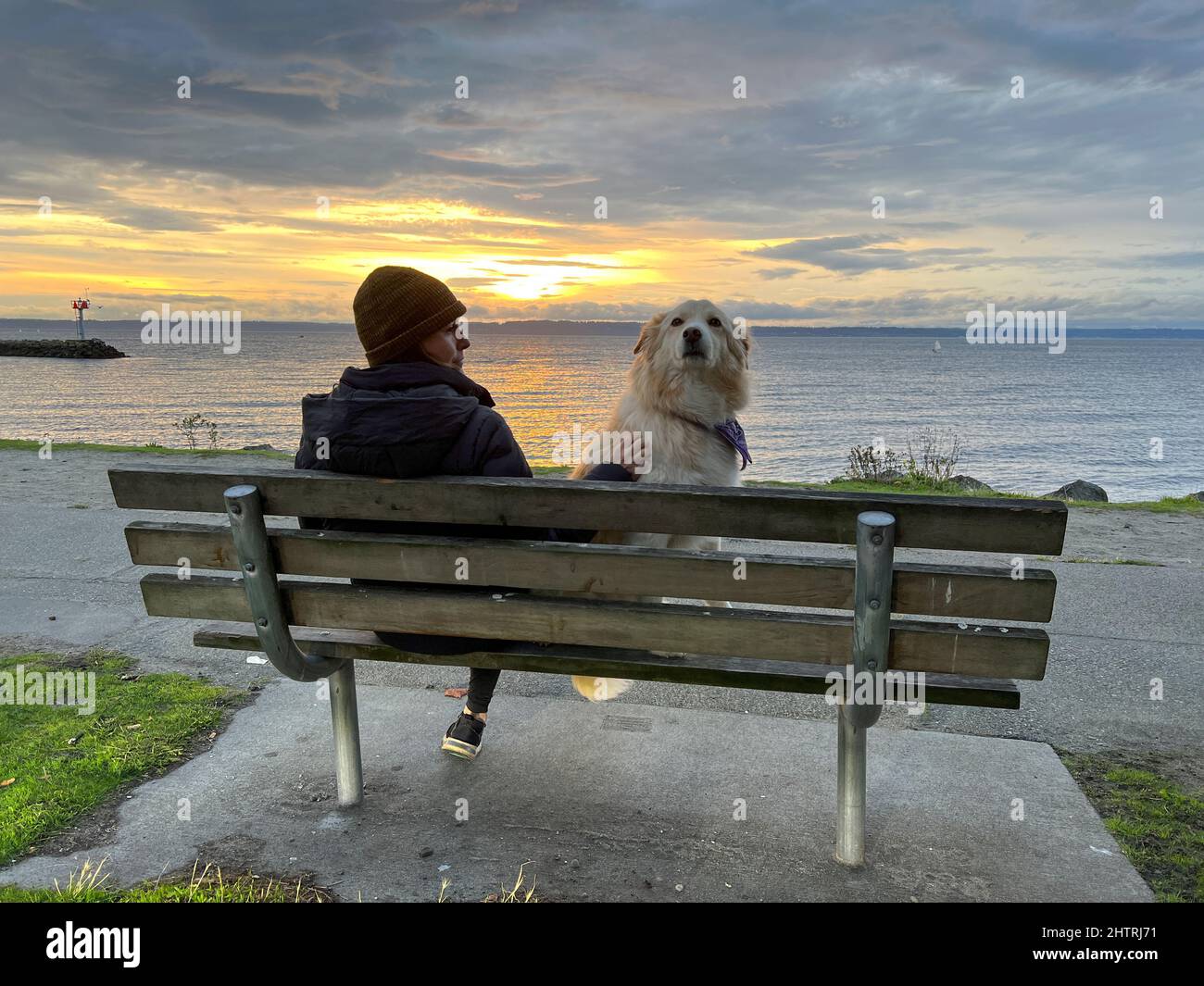 Female and their dog sitting on a park bench at Golden Gardens Park ...