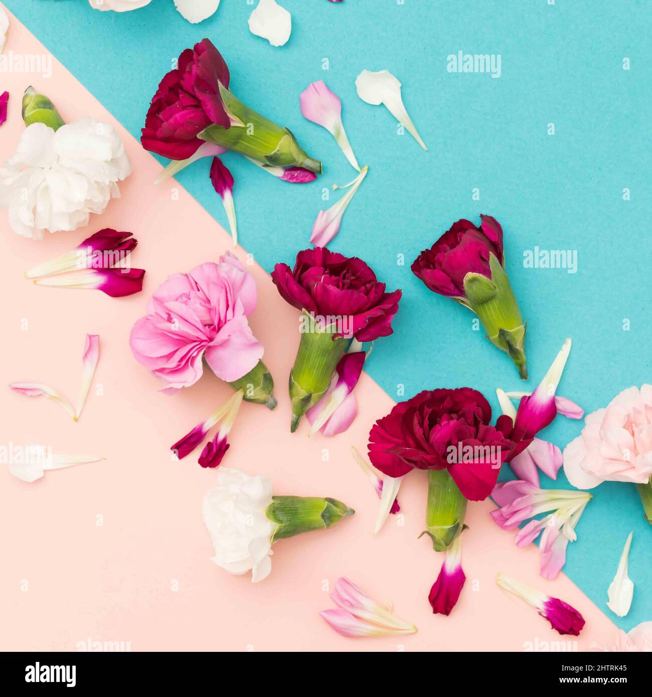 Colorblock hi-res stock photography and images - Alamy