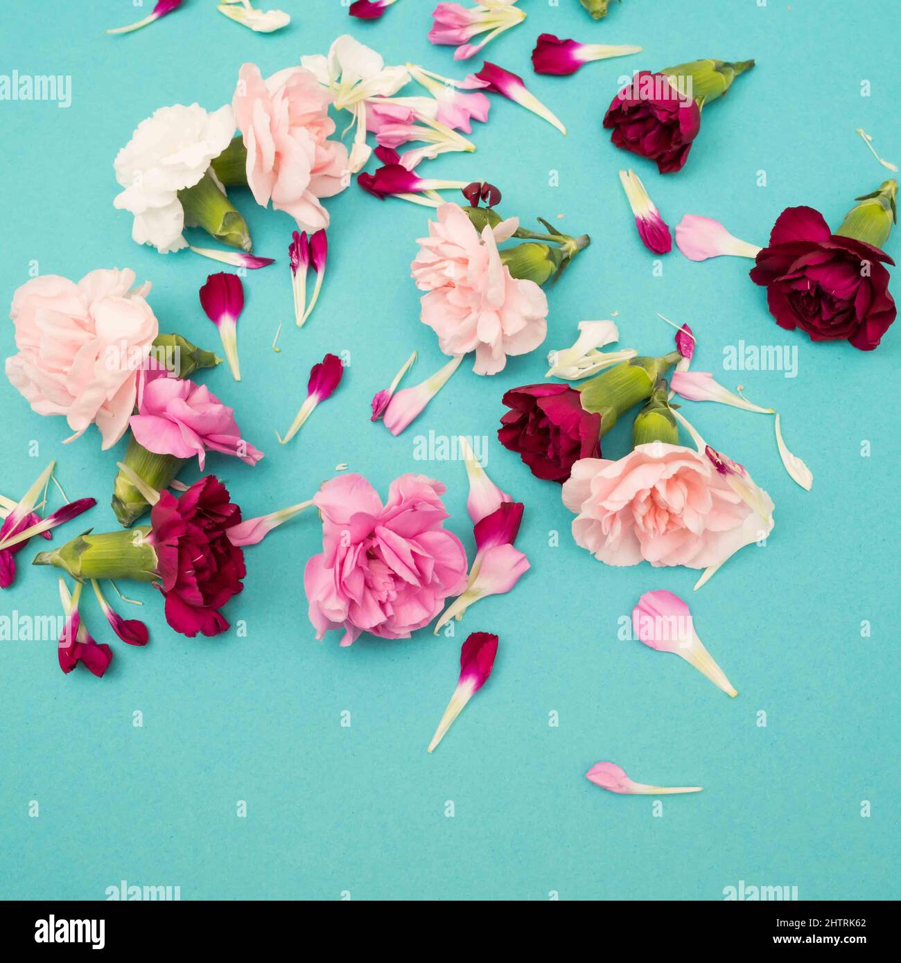 Scattered petals hi-res stock photography and images - Alamy