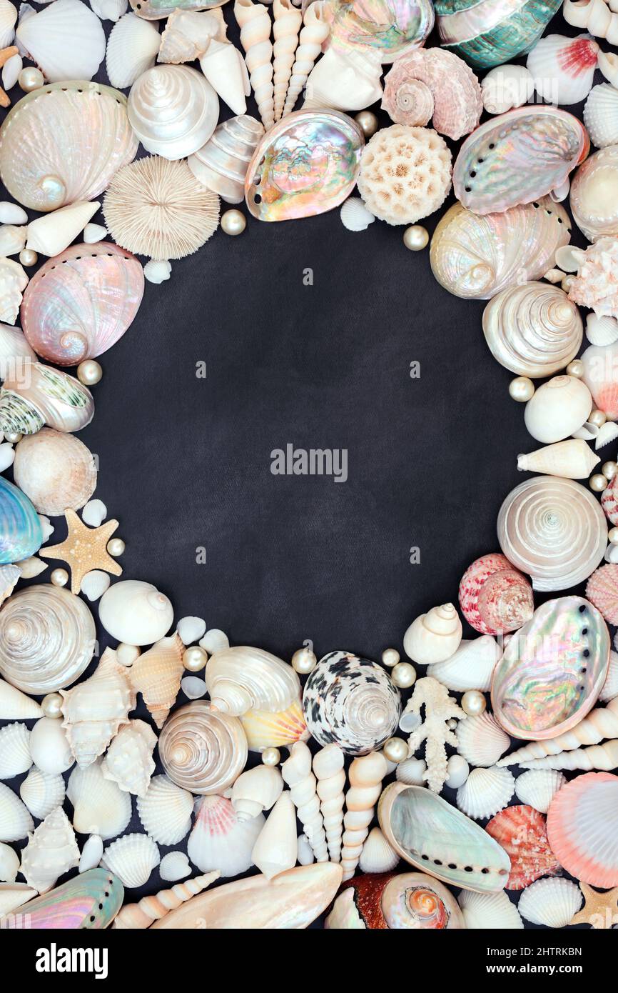 Sea shells and oyster pearls natural background border with large ...