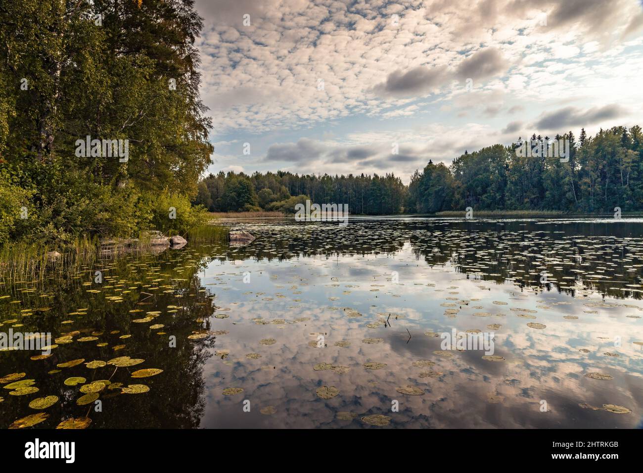 Sprinkled water hi-res stock photography and images - Alamy