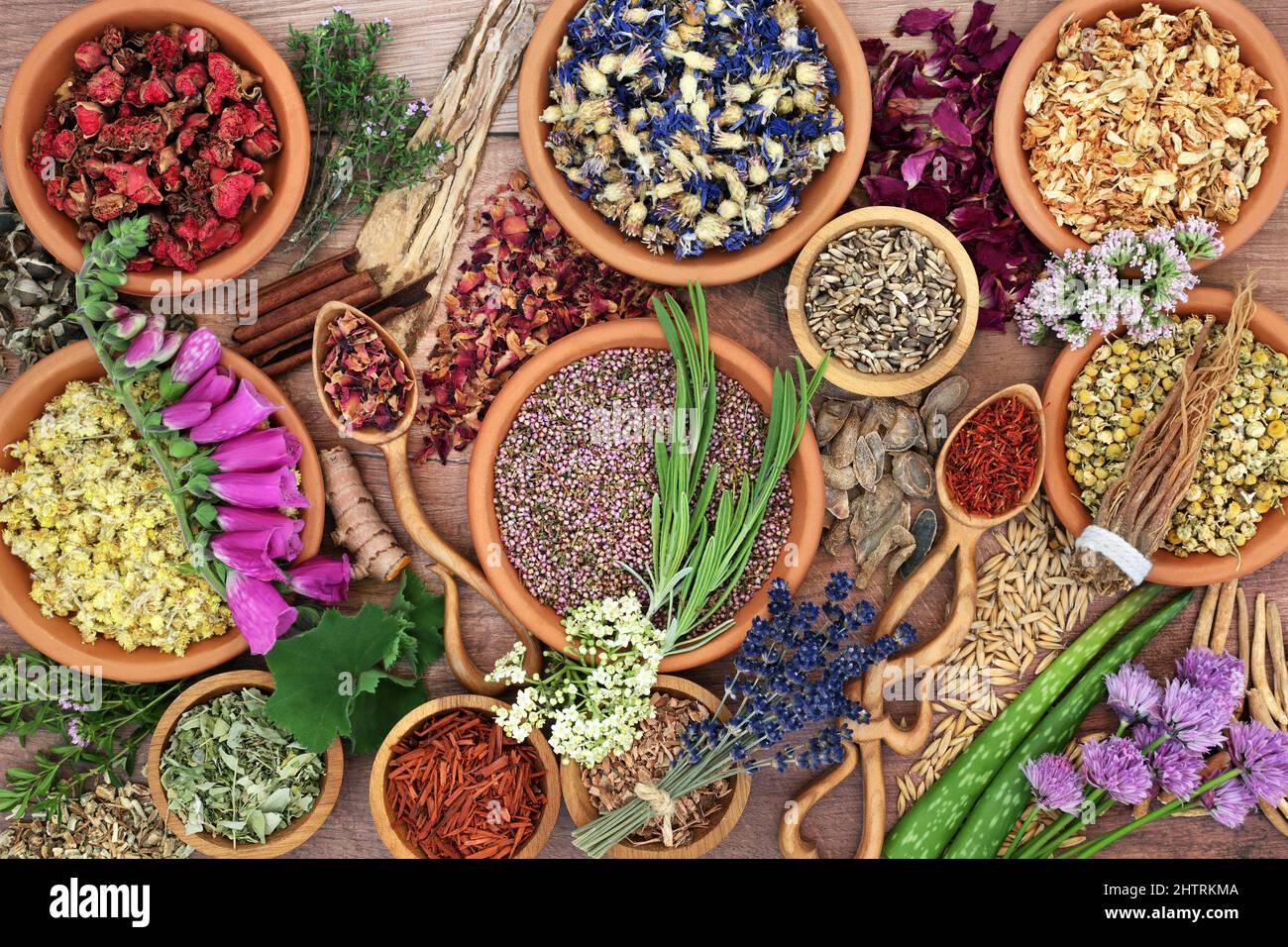 Herbal plant medicine with herbs and flowers for natural organic ...