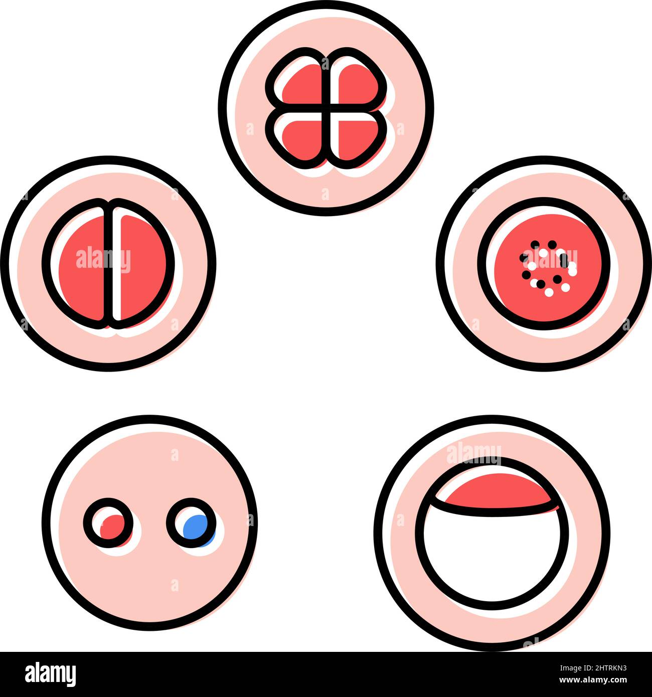 cell development color icon vector illustration Stock Vector Image ...