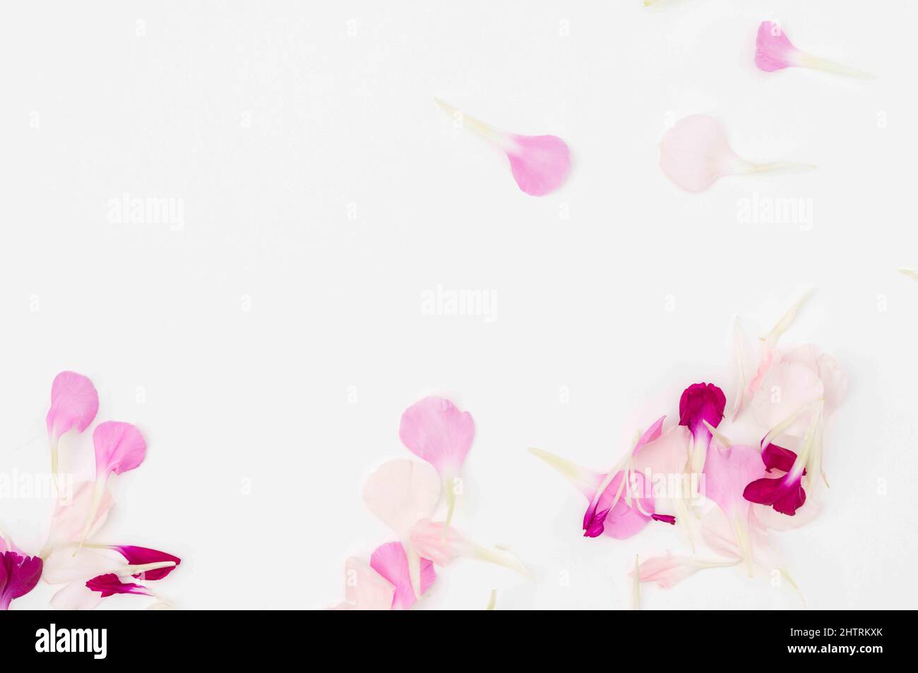 Petal border hi-res stock photography and images - Alamy
