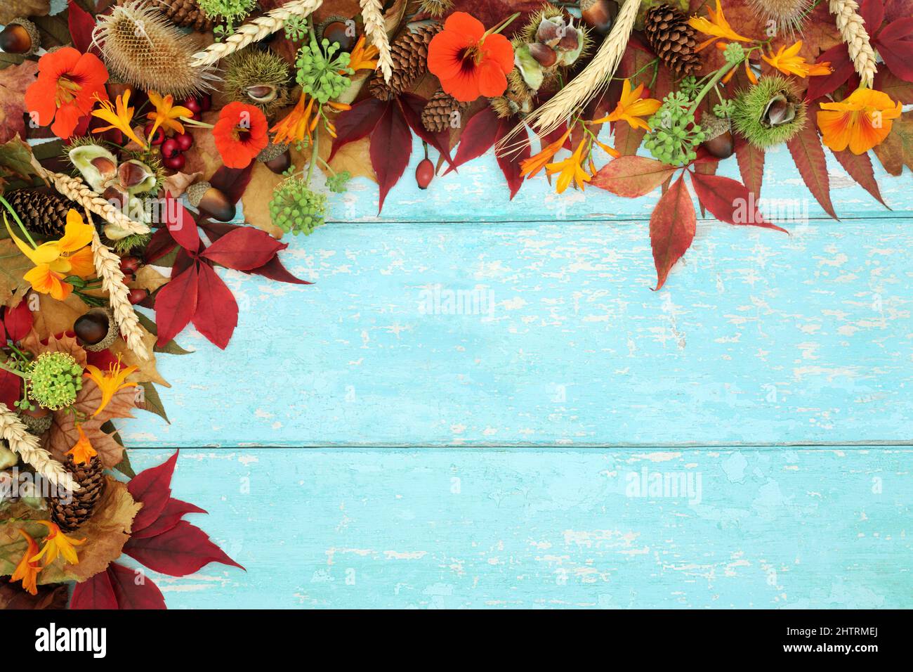 Natural Autumn background border on rustic blue wood with leaves ...