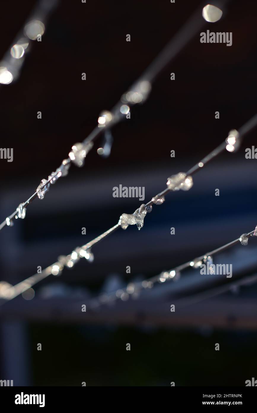 Vertical shot of grains of ice on the strings in blue tone Stock Photo ...