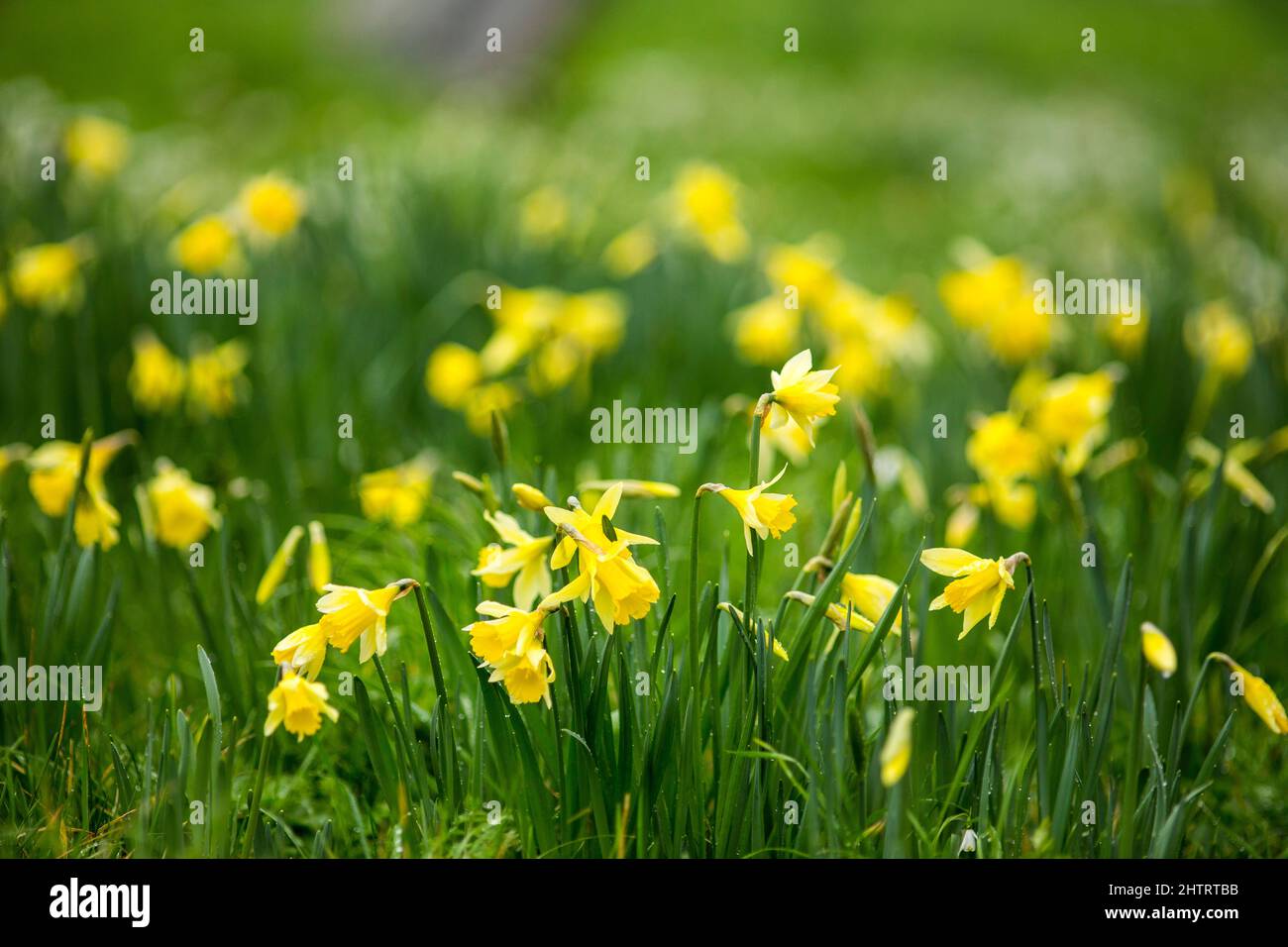 Doddington Hall, Lincoln , Lincolnshire,UK. 2nd Mar 2022. UK Weather. A ...