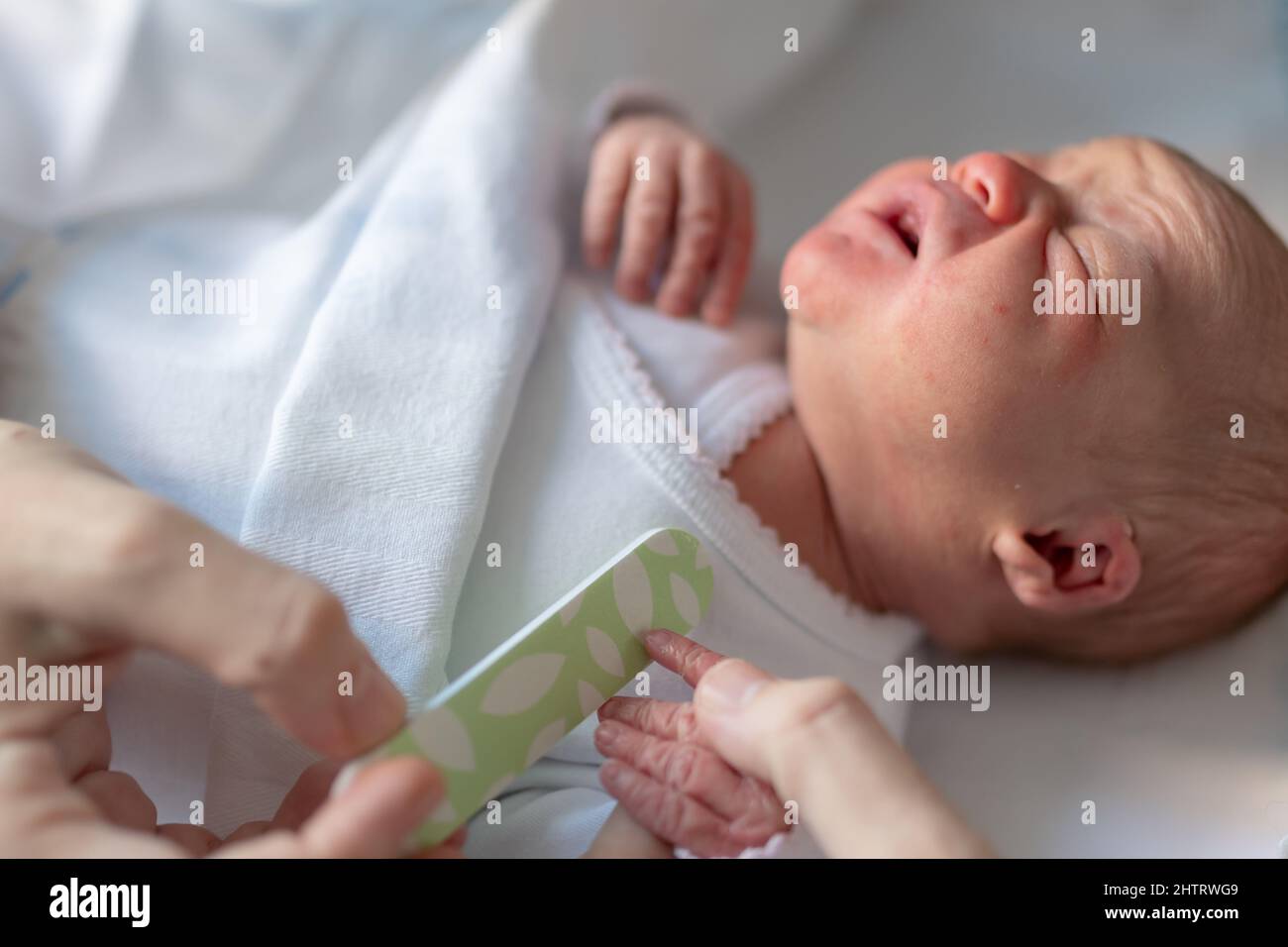 hands of a mother filing the tiny nails of her newborn baby who has ...