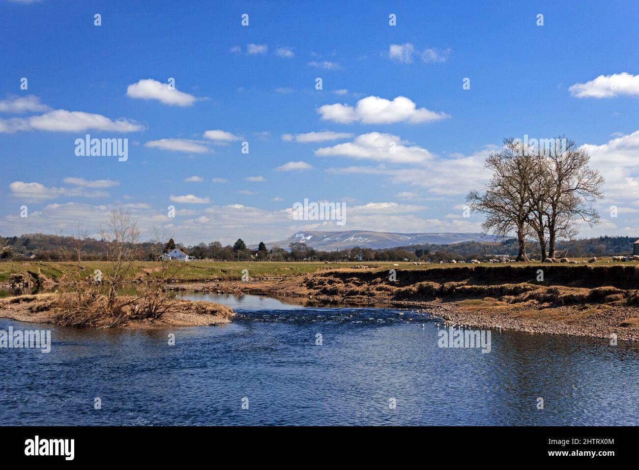 River Ribble at Ribchester Stock Photo - Alamy