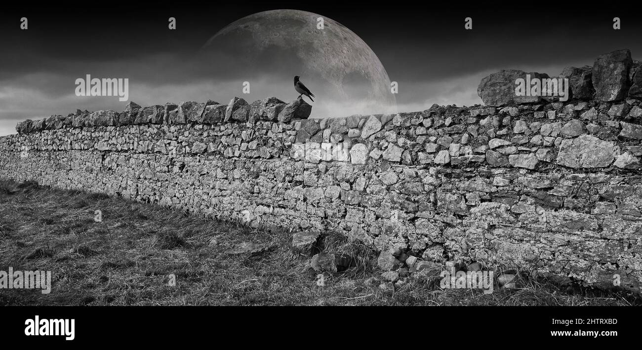 Panoramic view of the rocky wall, bird and the big moon on the ...