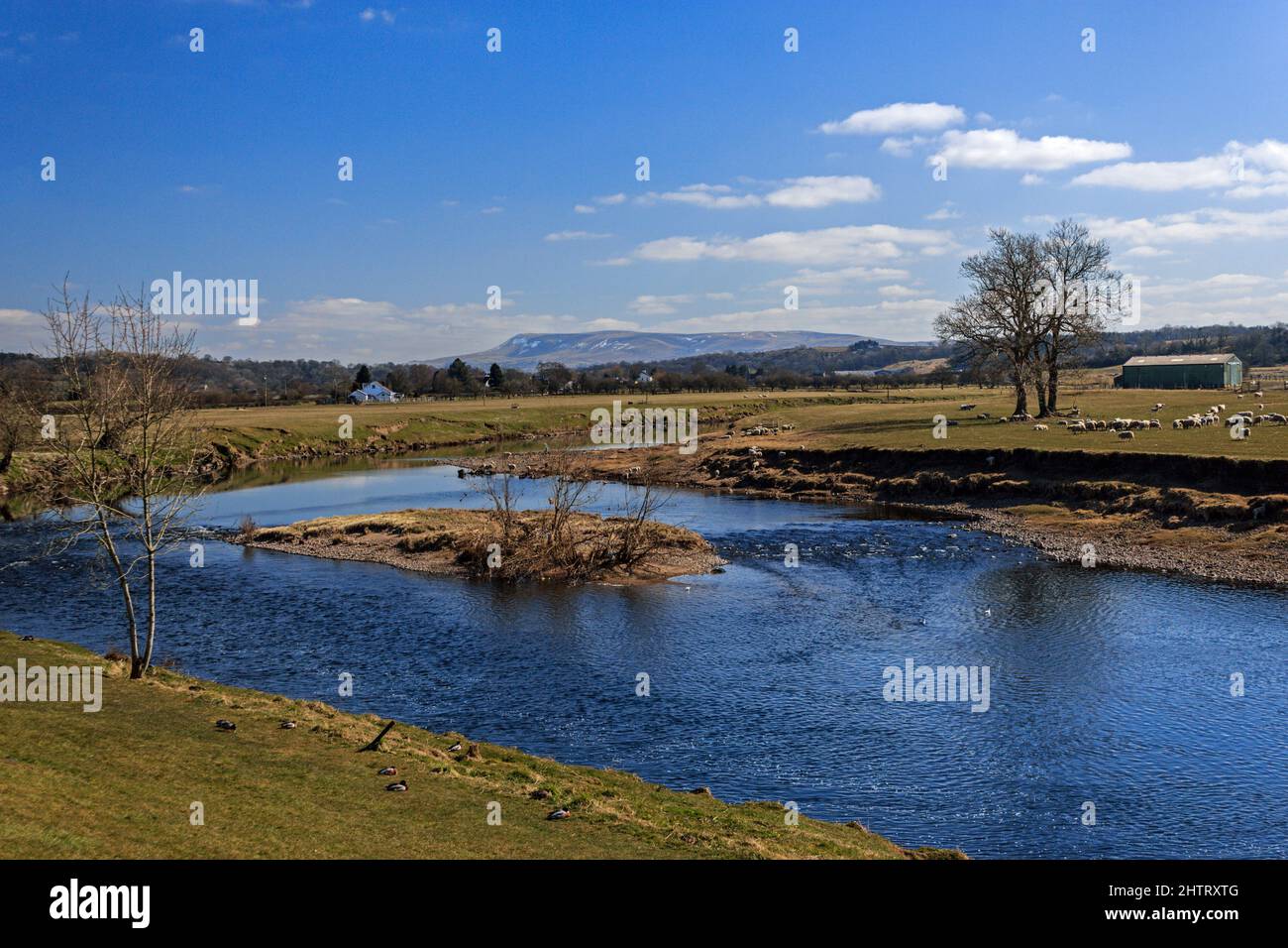 River Ribble at Ribchester Stock Photo - Alamy