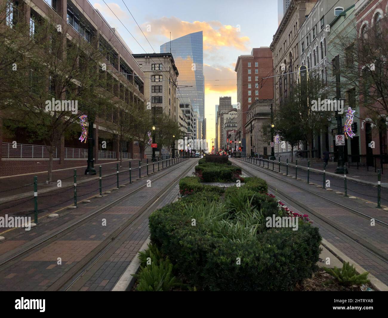 Line of bushes in the street surrounded by buildings Stock Photo - Alamy