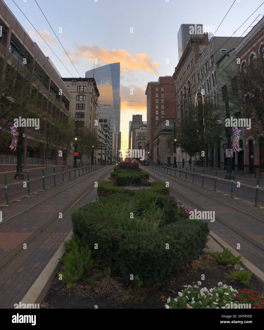 Line of bushes in the middle of a road surrounded by buildings Stock ...