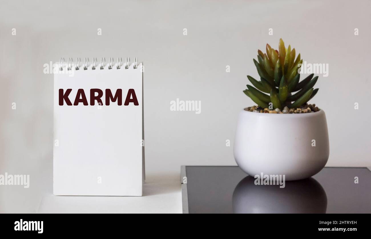 The word karma on a white background, next to a cactus flower on a ...