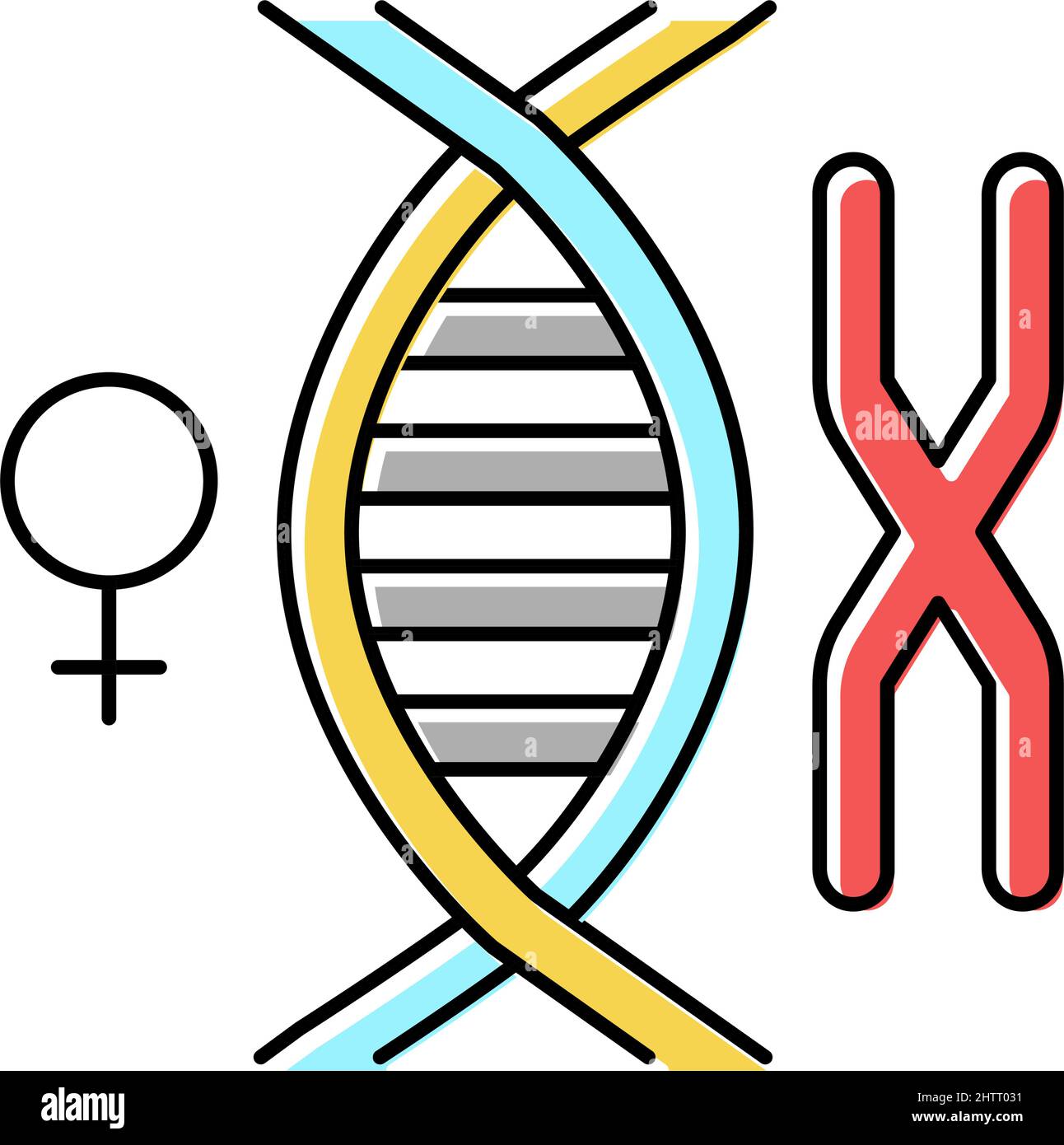 female chromosome genetic color icon vector illustration Stock Vector ...