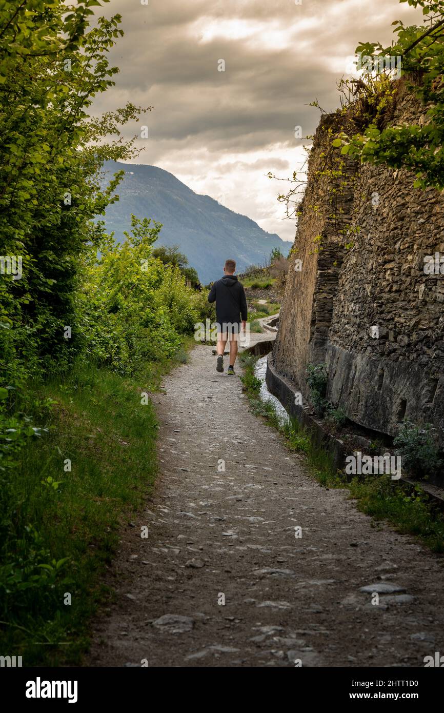 Vertical of a male walking on a pathway between rocks and green trees ...