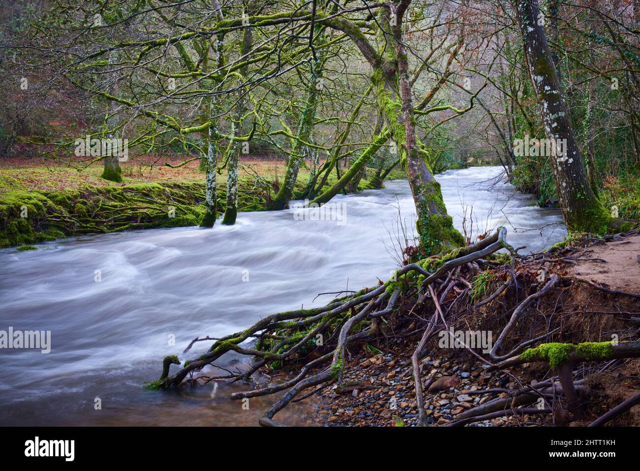 Dunsford uk hi-res stock photography and images - Alamy