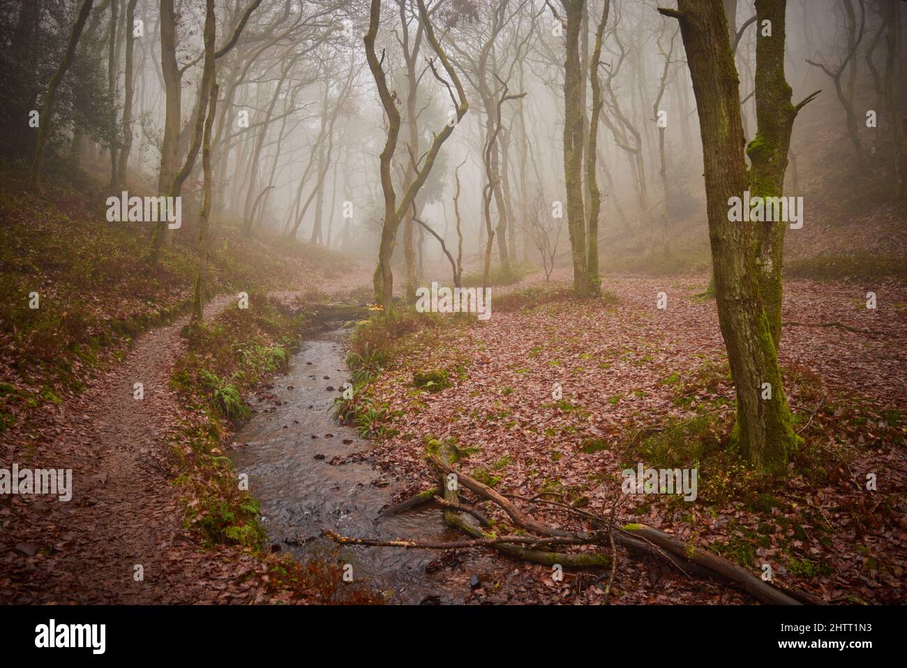 Holford hi-res stock photography and images - Alamy