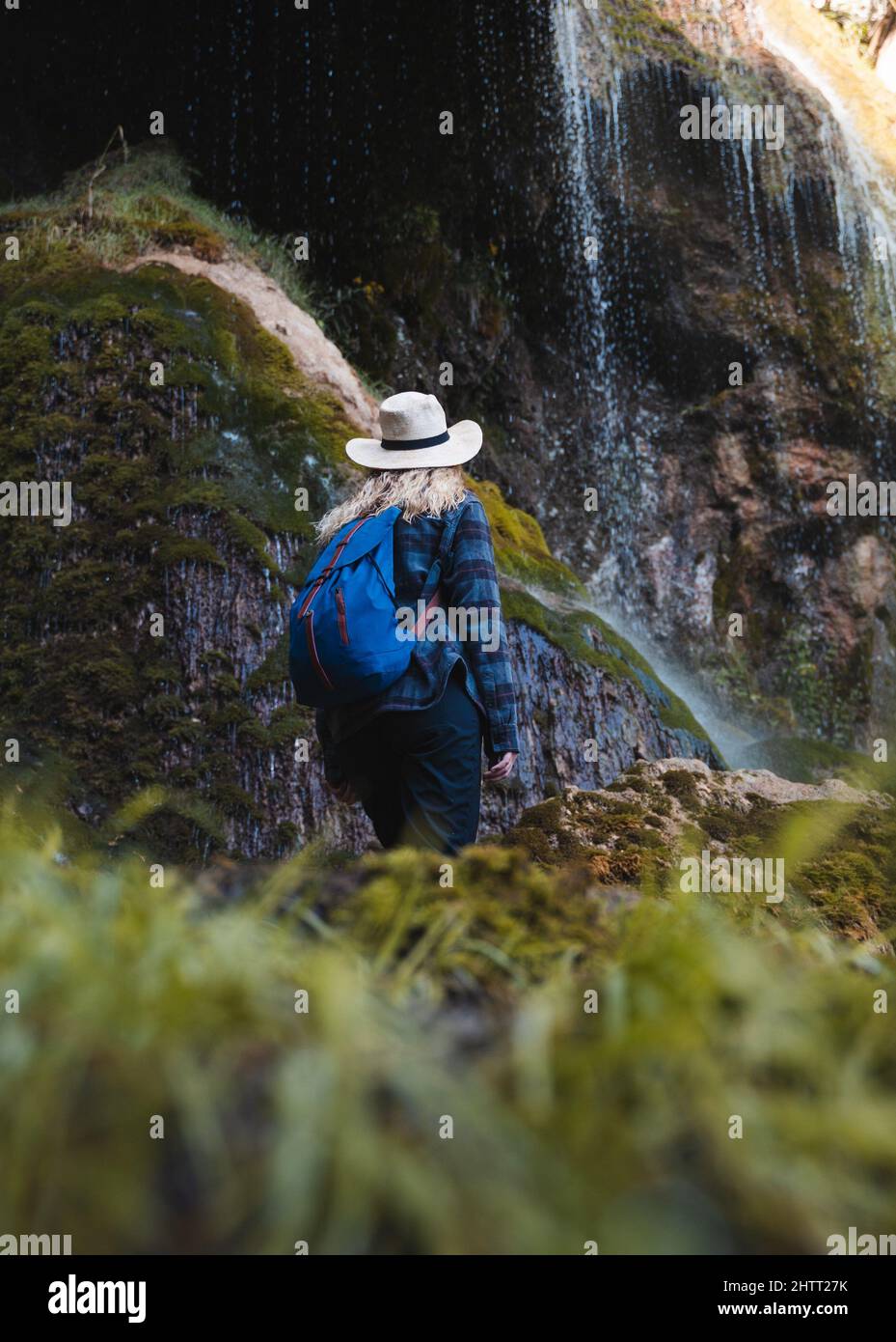 Vertical back view of a female hiking in a forest Stock Photo - Alamy
