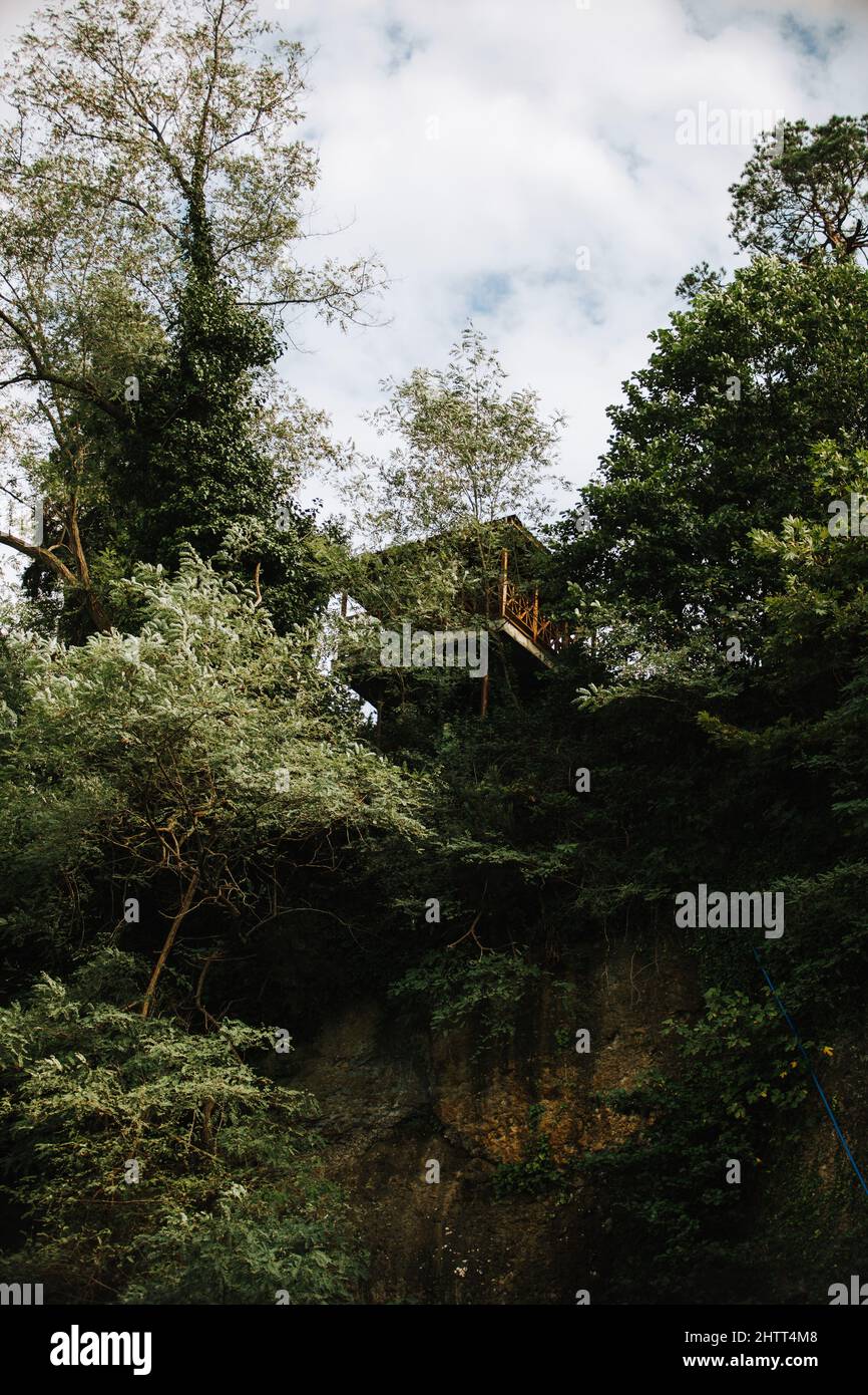 Low angle of a cabin in the woods Stock Photo - Alamy
