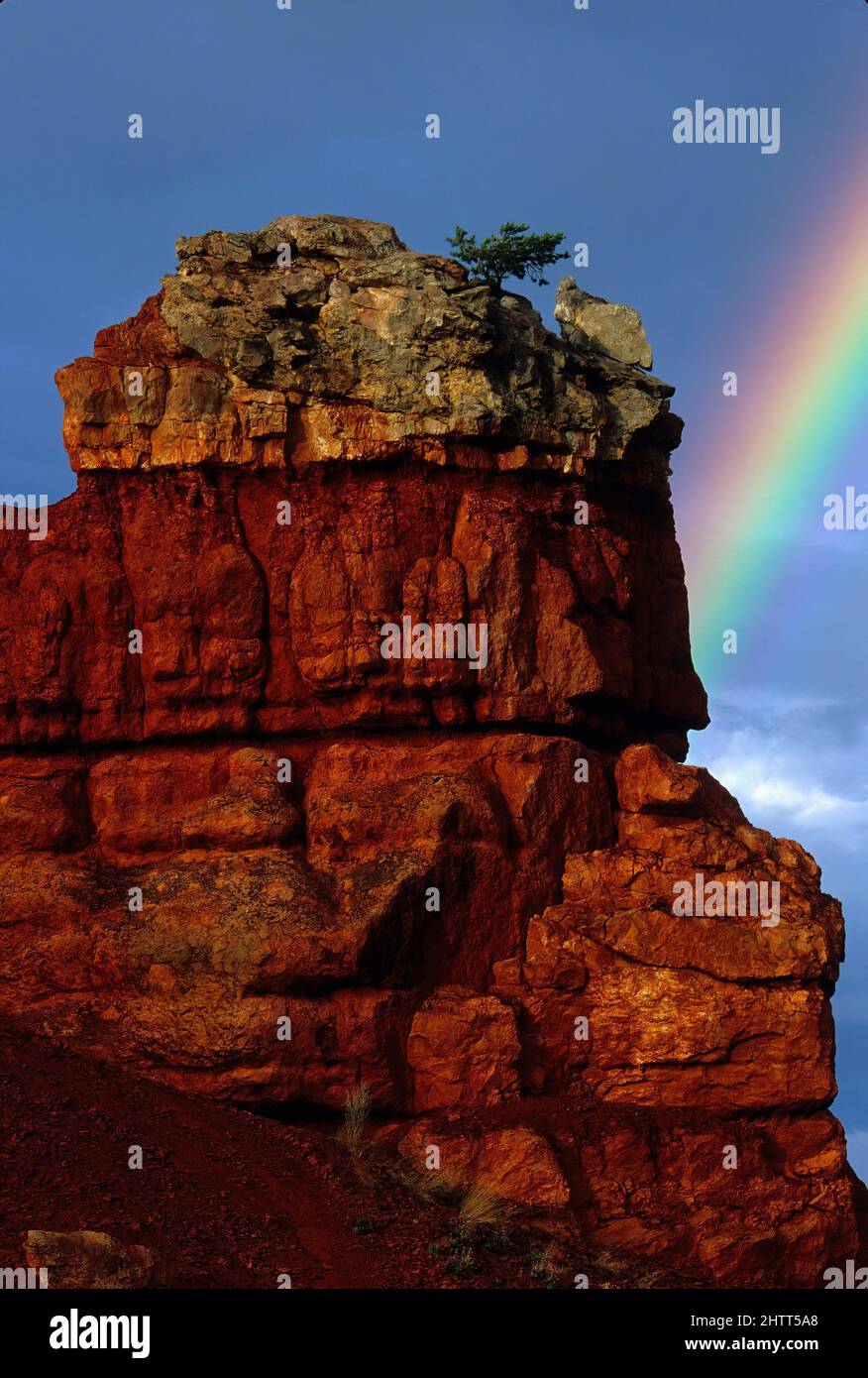 Utah Red Rock Canyon with rainbow Stock Photo - Alamy