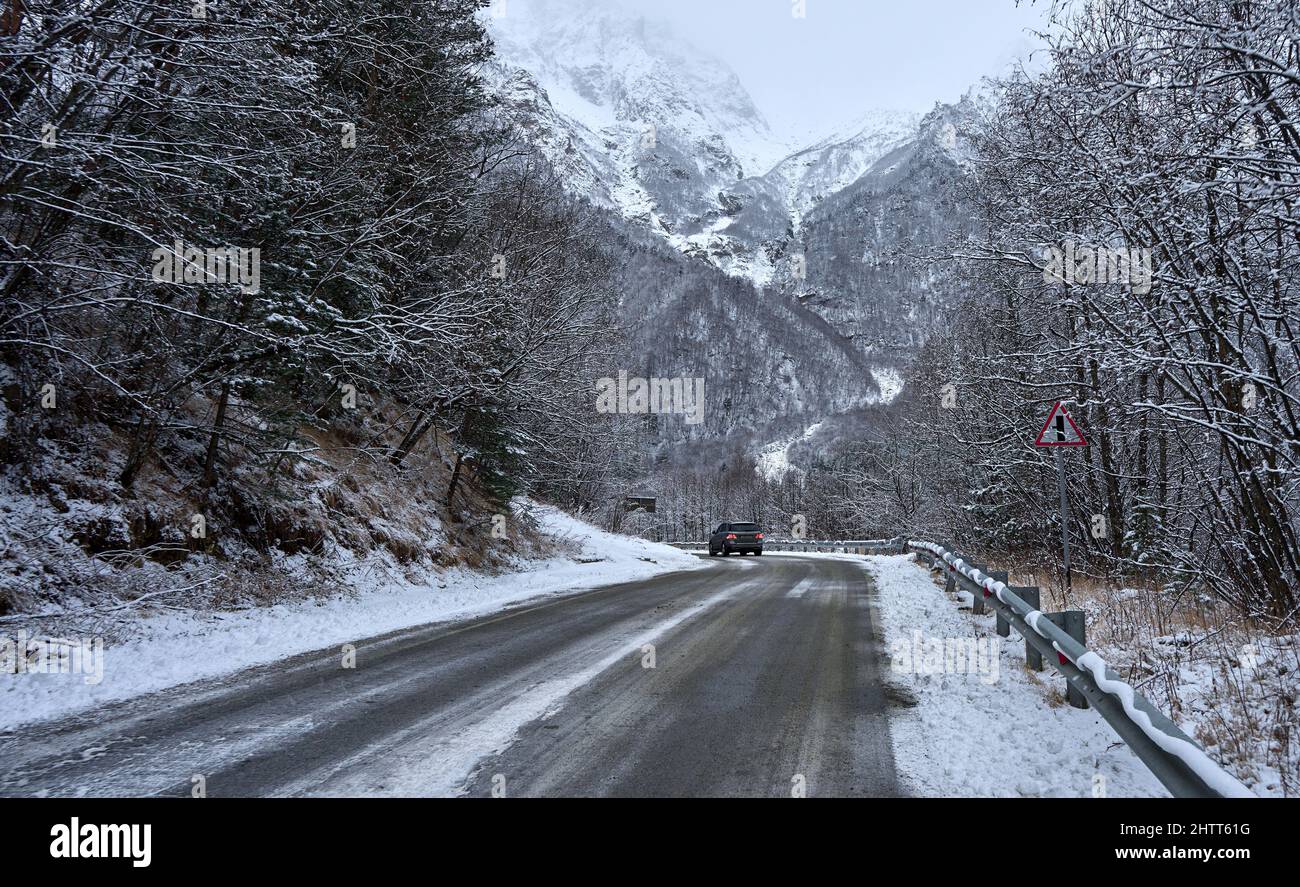 Car rides on forest road hi-res stock photography and images - Alamy