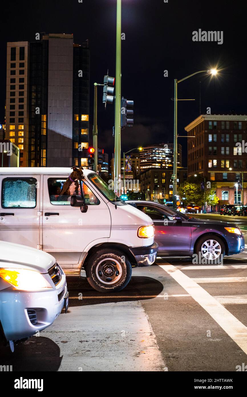 Dog hanging out the window of a van Stock Photo - Alamy