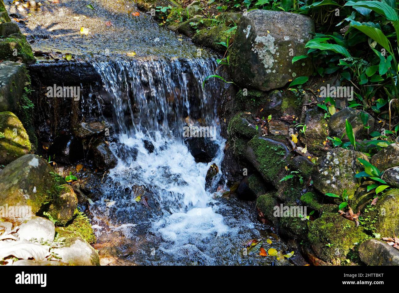 Small waterfall on tropical rainforest, Rio Stock Photo - Alamy