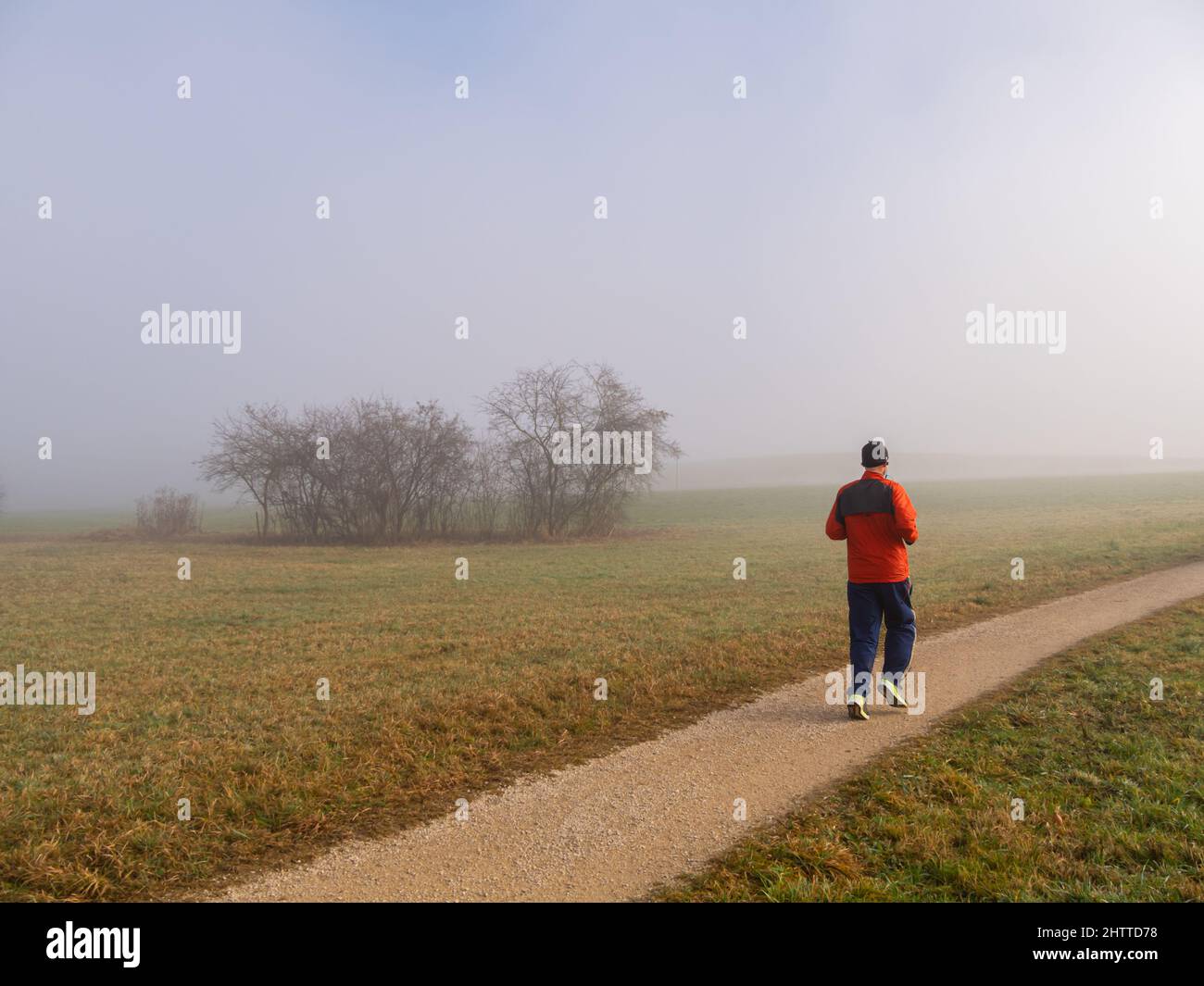 Beautiful lonely tree on foggy hi-res stock photography and images - Alamy