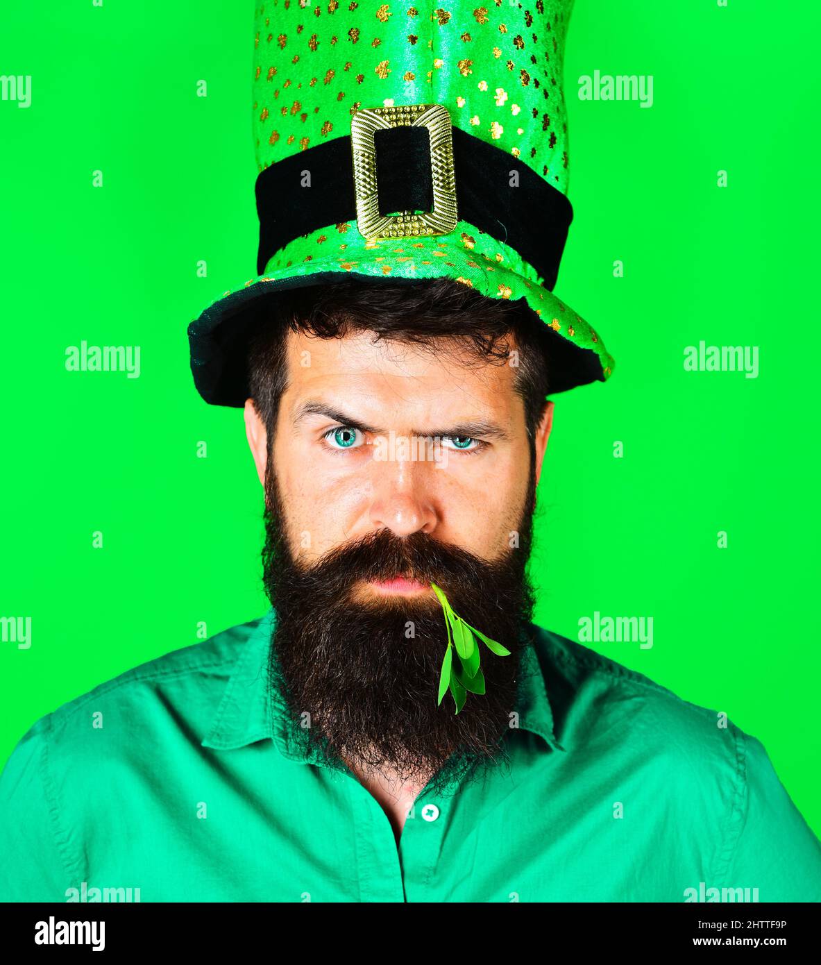 St patrik day hi-res stock photography and images - Alamy