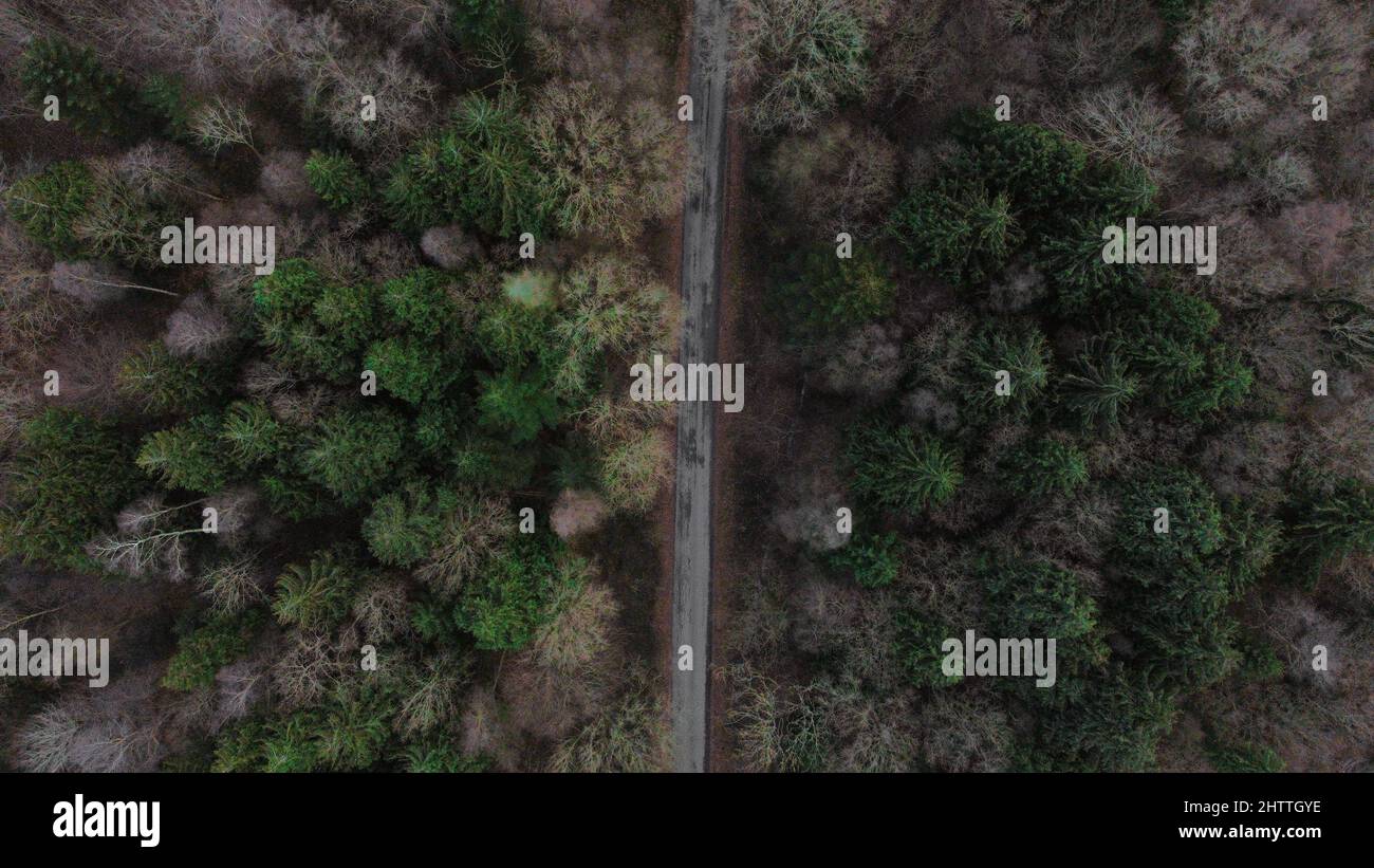 Aerial view of a forest in Denmark Stock Photo - Alamy