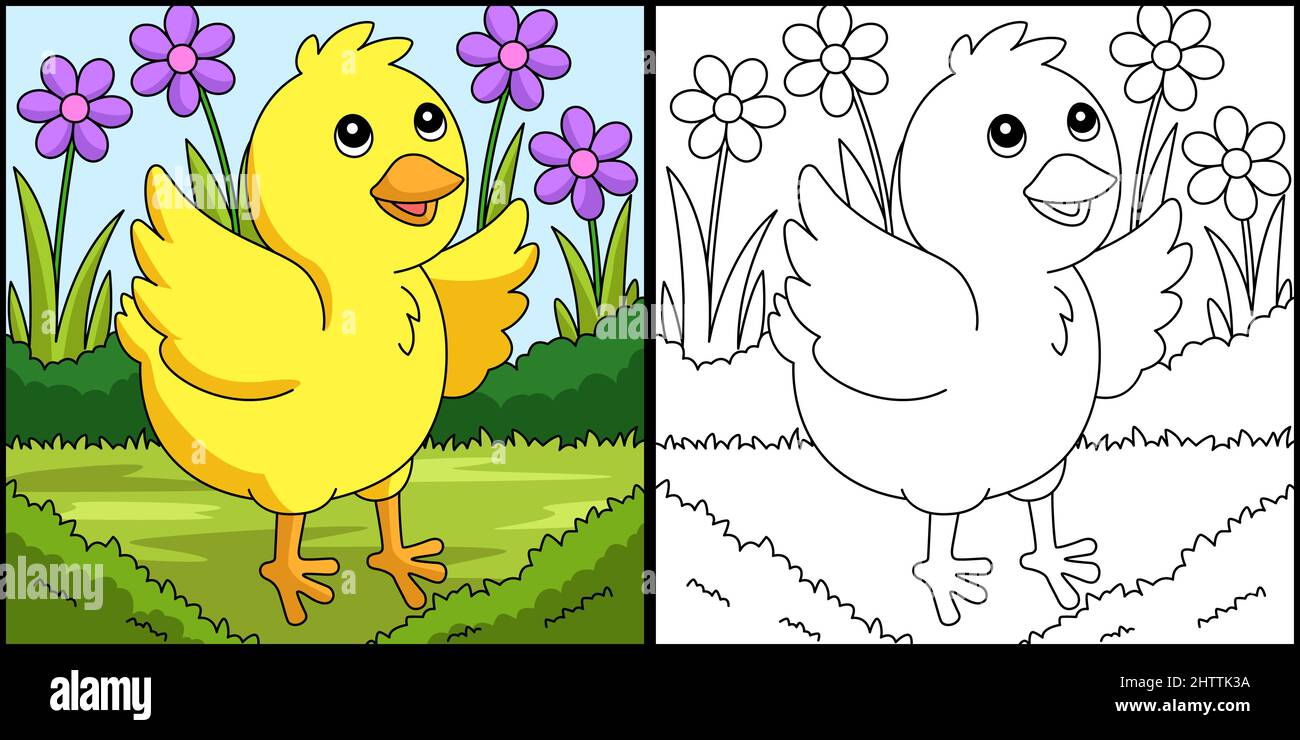 Chick Coloring Page Colored Illustration Stock Vector Image & Art - Alamy