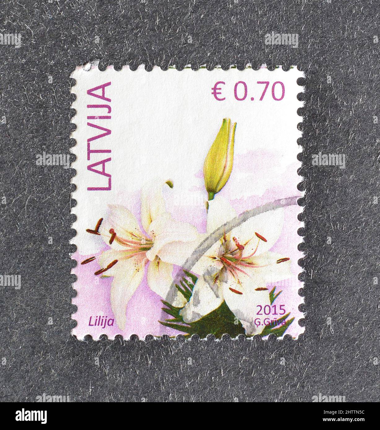 Cancelled postage stamp printed by Latvia, that shows Lily, circa 2015 ...