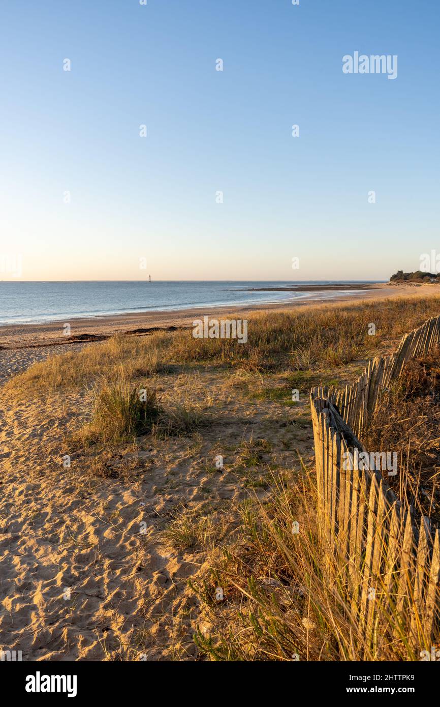 Rivedoux-plage Beach through dunes in ile de re in french country ...