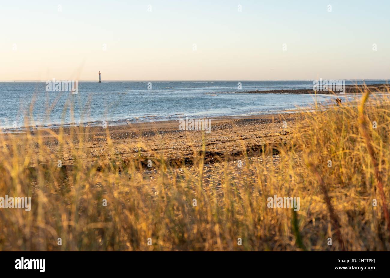 Rivedoux-plage Beach through dunes in ile de re in french country ...