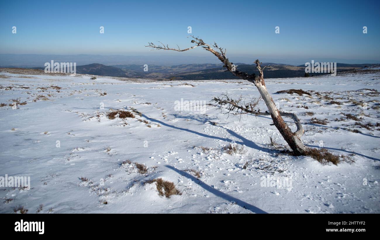 Winter landscape at Col du Béal, Monts de Forez, France Stock Photo - Alamy