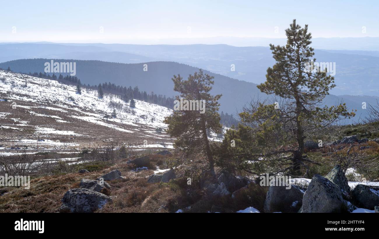 Winter landscape at Col du Béal, Monts de Forez, France Stock Photo - Alamy