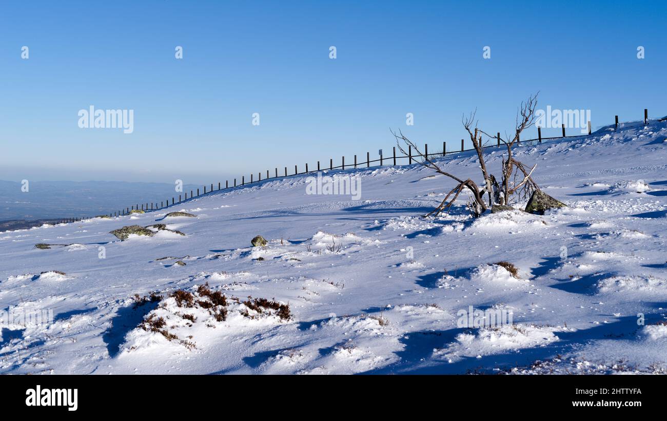 Winter landscape at Col du Béal, Monts de Forez, France Stock Photo - Alamy