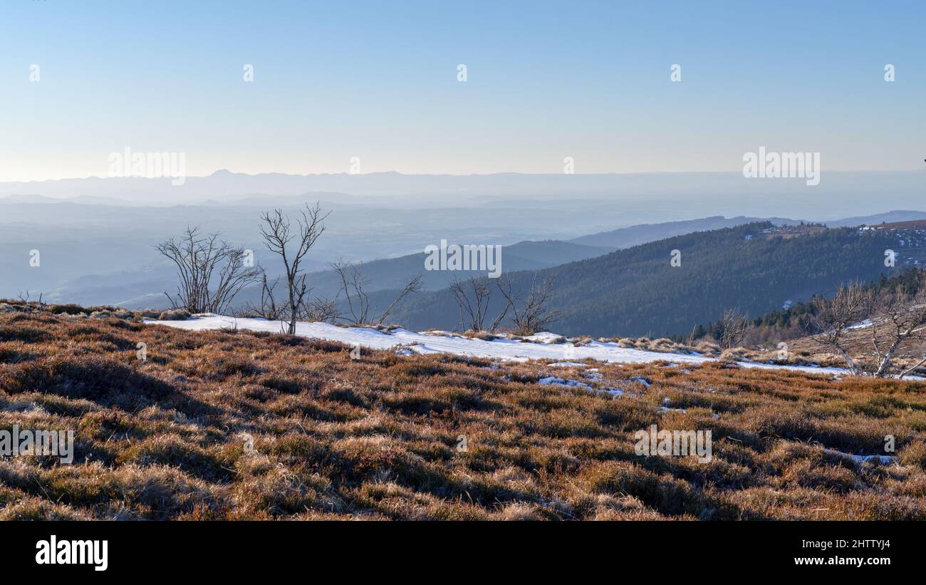 Winter landscape at Col du Béal, Monts de Forez, France Stock Photo - Alamy