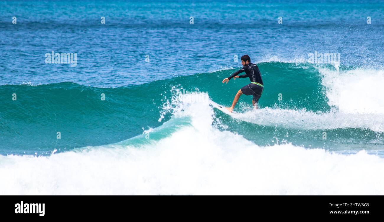 Man surfing in the ocean, trying to catch a wave Stock Photo - Alamy