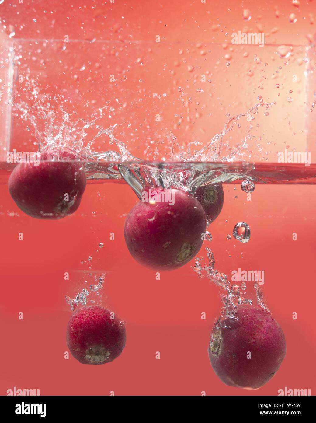 Portrait of peaches fruit dunked in water creating a splash on an ...