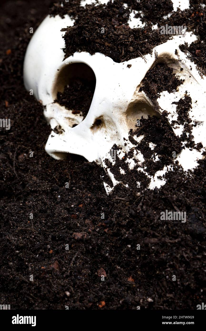 Skull buried hi-res stock photography and images - Alamy