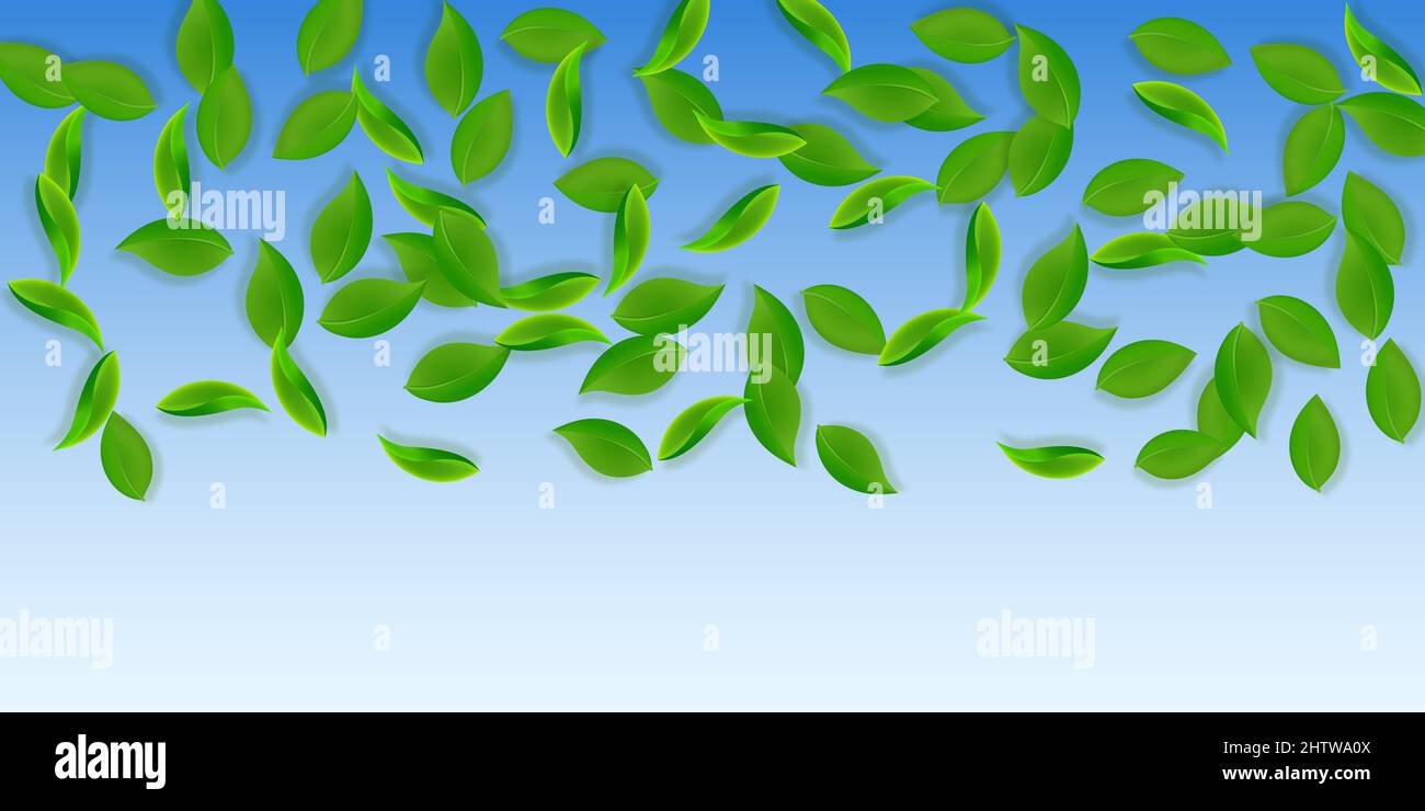 Falling green leaves. Fresh tea neat leaves flying. Spring foliage ...