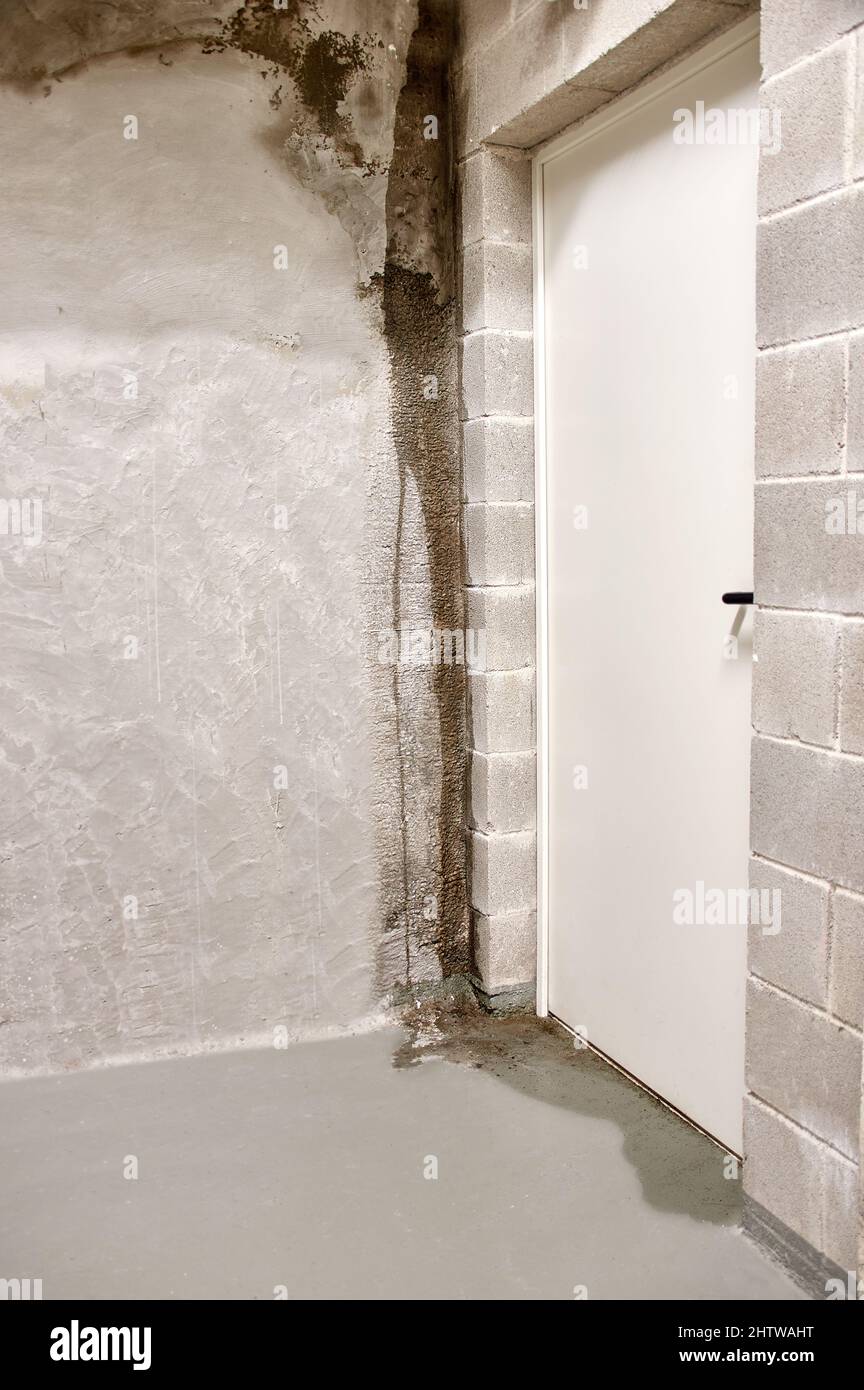 Water damage in basement caused by sewer backflow due to clogged ...