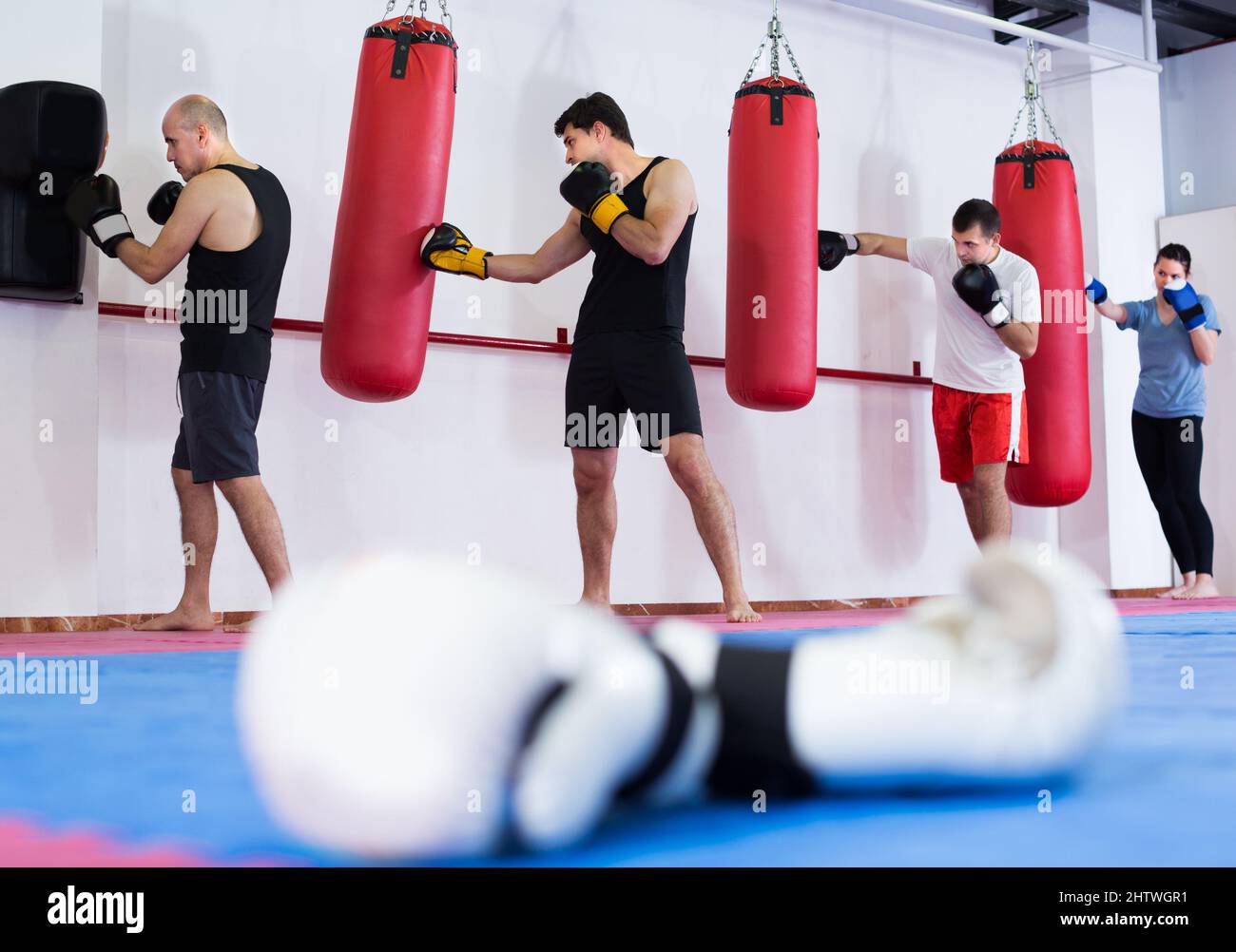 Women and men boxers are beating boxing bags Stock Photo - Alamy