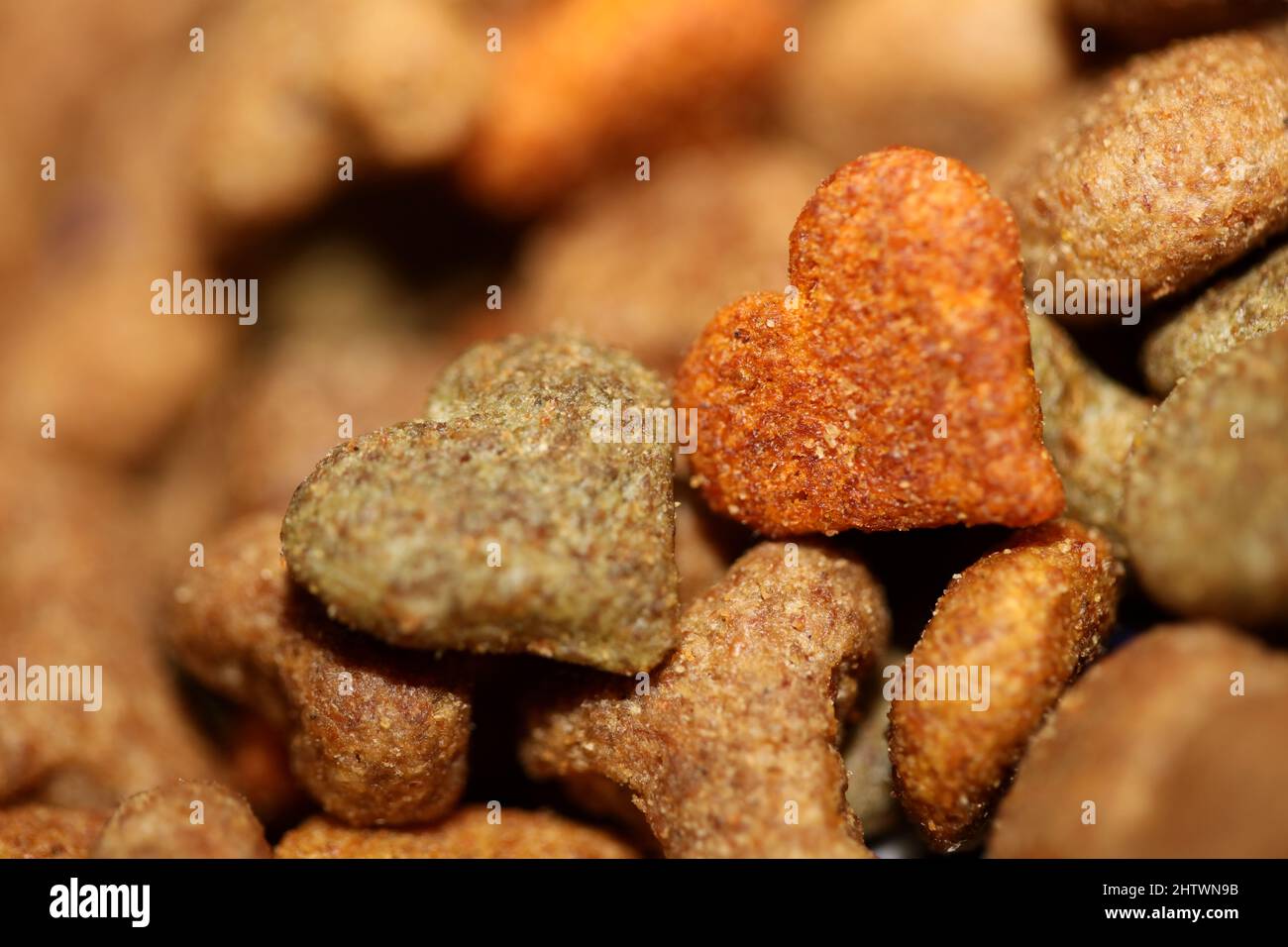 Dog dry healthy food from purina close up background high quality big ...