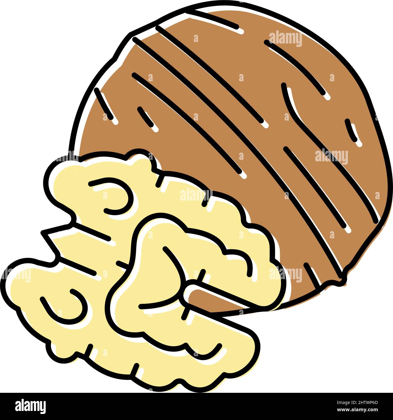 Walnut core Stock Vector Images - Alamy