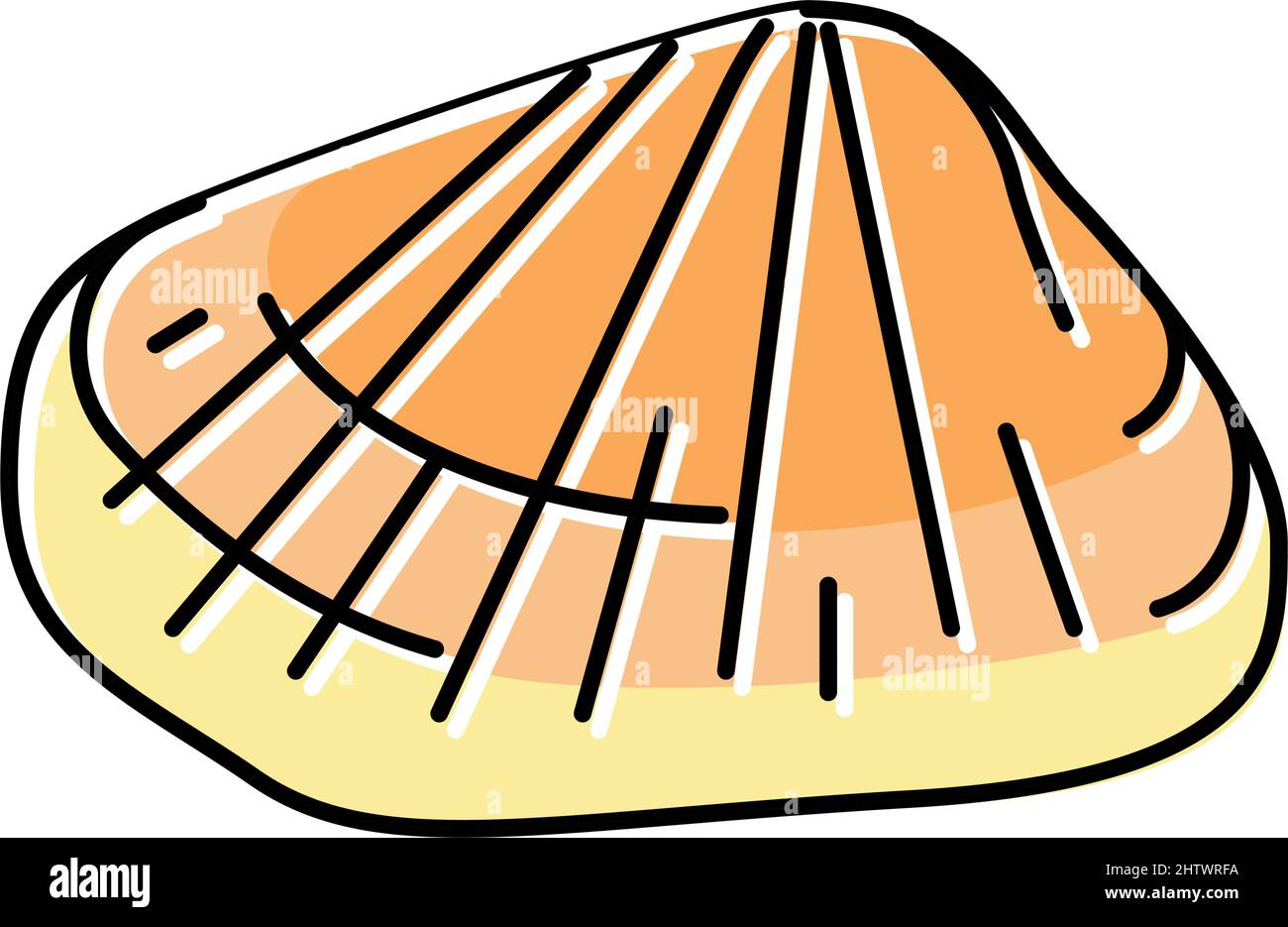 Razor clam illustration hi-res stock photography and images - Alamy