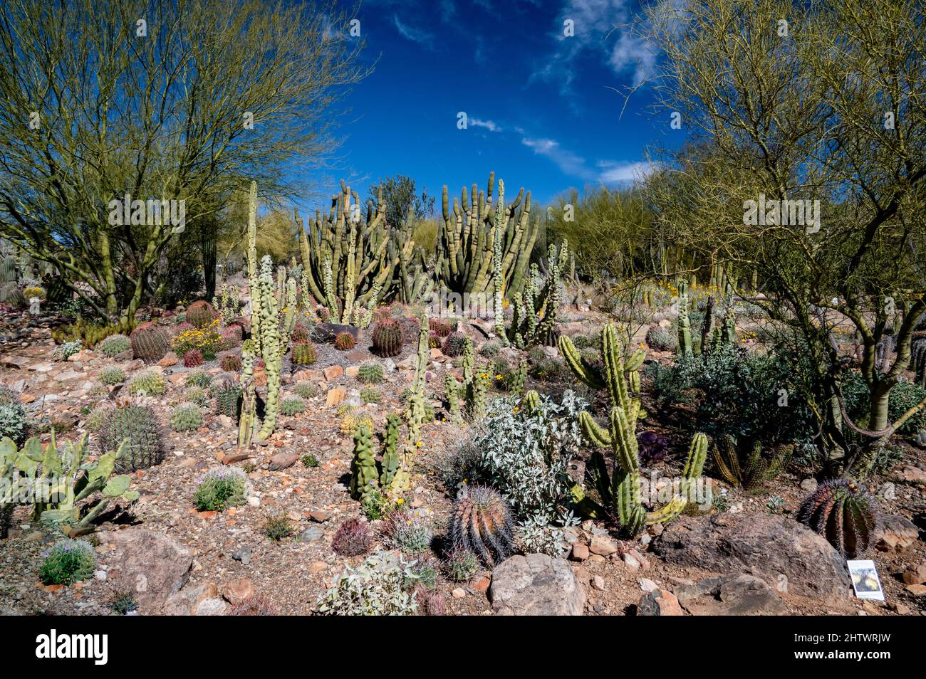 Ecosystem biotic hi-res stock photography and images - Alamy
